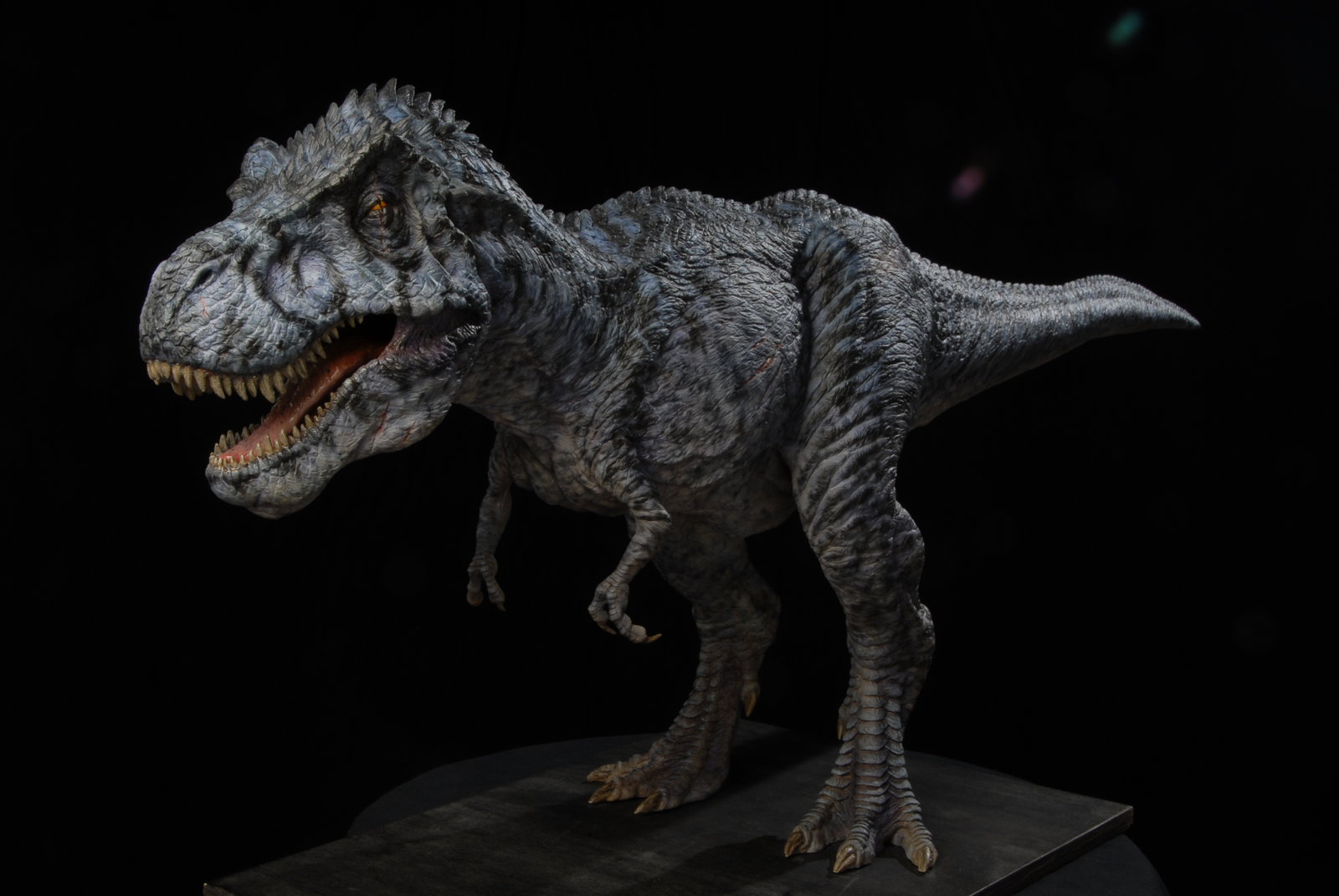 세상에서 가장 큰 육식공룡 BIG.5^^!! : 네이버 블로그