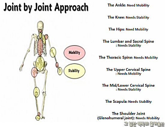 Joint by Joint Approach : 네이버 블로그