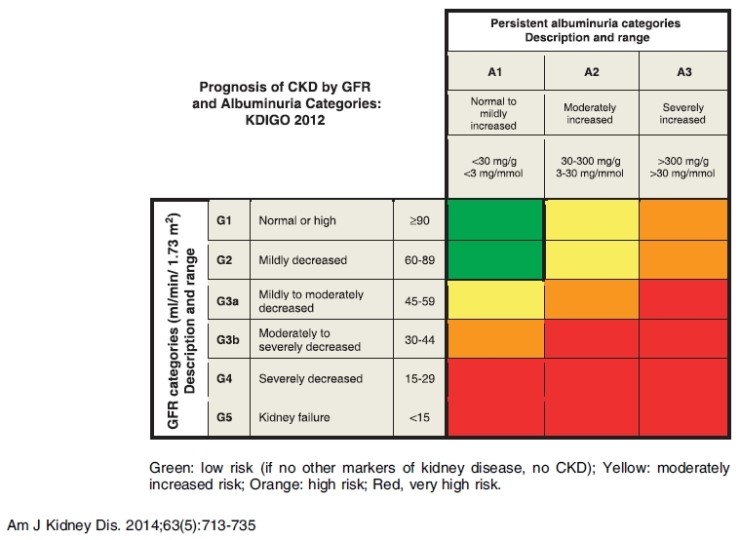 Kdigo Ckd Guideline 2012: Kdigo Guidelines Pdf – PFRKR