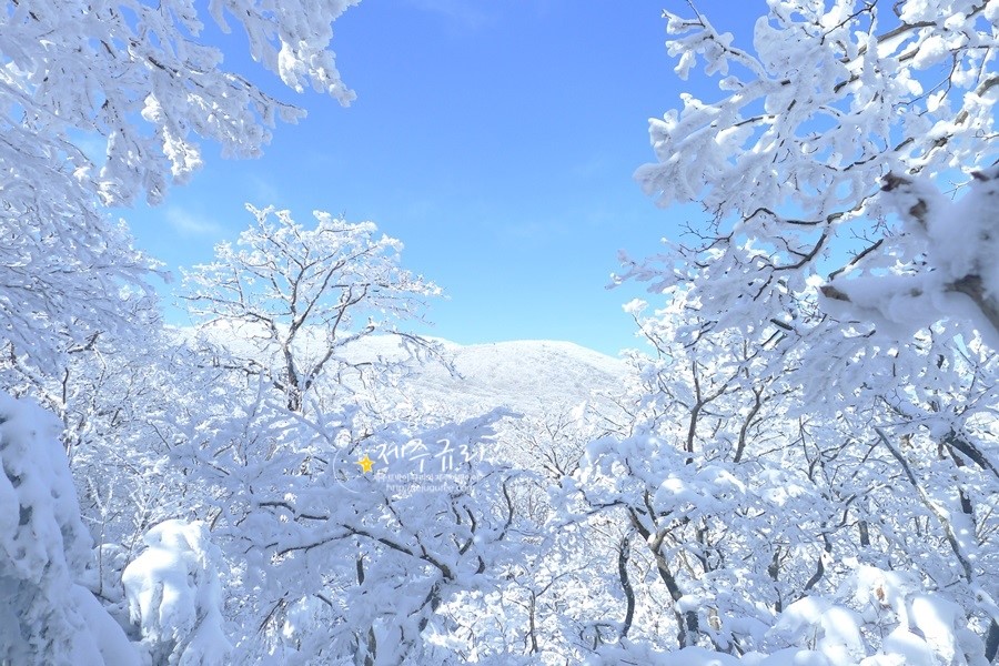 겨울 한라산 눈꽃트래킹 - 사라오름 : 네이버 블로그