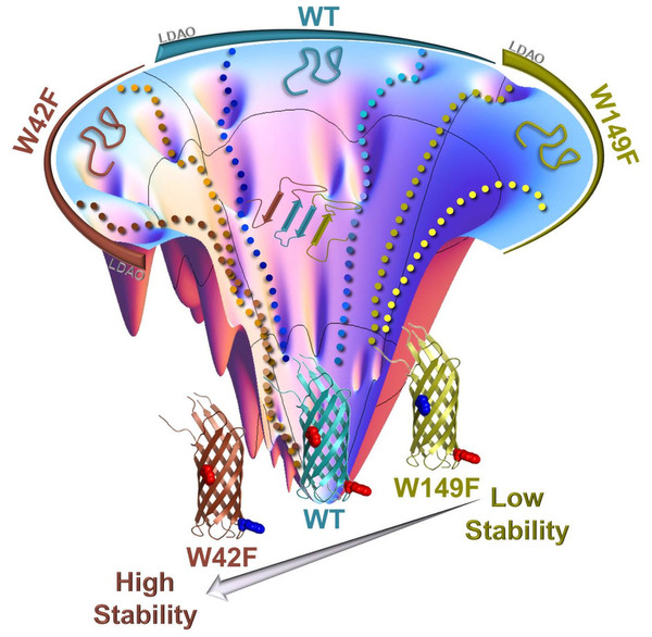 단백질의 접힘 퍼널 (protein folding funnel) : 에너지 수준에 따른 단백질 구성(지형) : 네이버 블로그