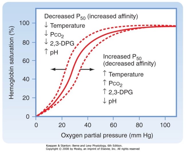 헤모글로빈의 산소해리곡선(Oxygen dissociation curve) : 네이버 블로그