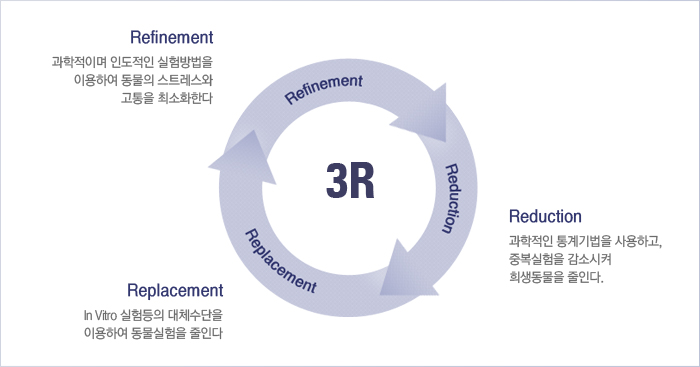 동물실험의 필요성에 대해, 그리고 "3R원칙" : 네이버 블로그
