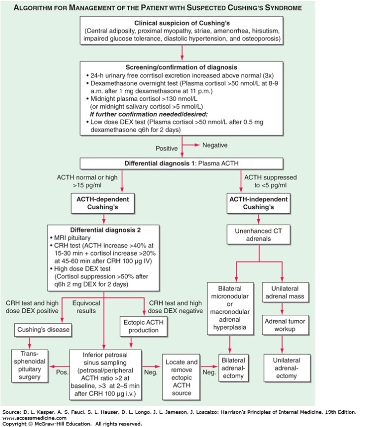 쿠싱 증후군, 진단, Cushing’s syndrome, diagnosis (해리슨 19판) : 네이버 블로그