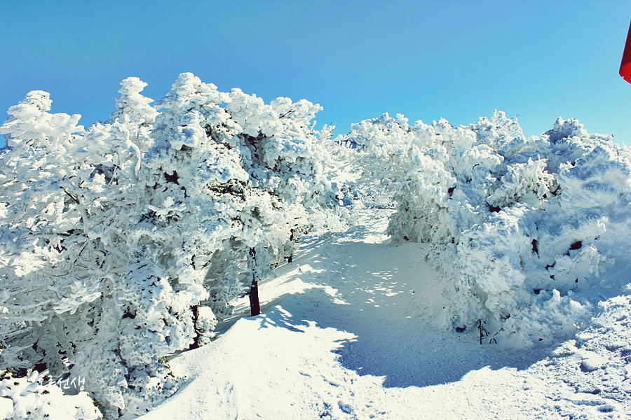 한라산 겨울산행 영실코스 : 네이버 블로그