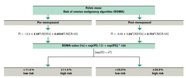 CA125, HE4를 이용한 ROMA score, 난소암 위험도 평가 : 네이버 블로그