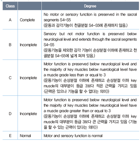 [ASIA]SCI평가도구,ASIA scale : 네이버 블로그