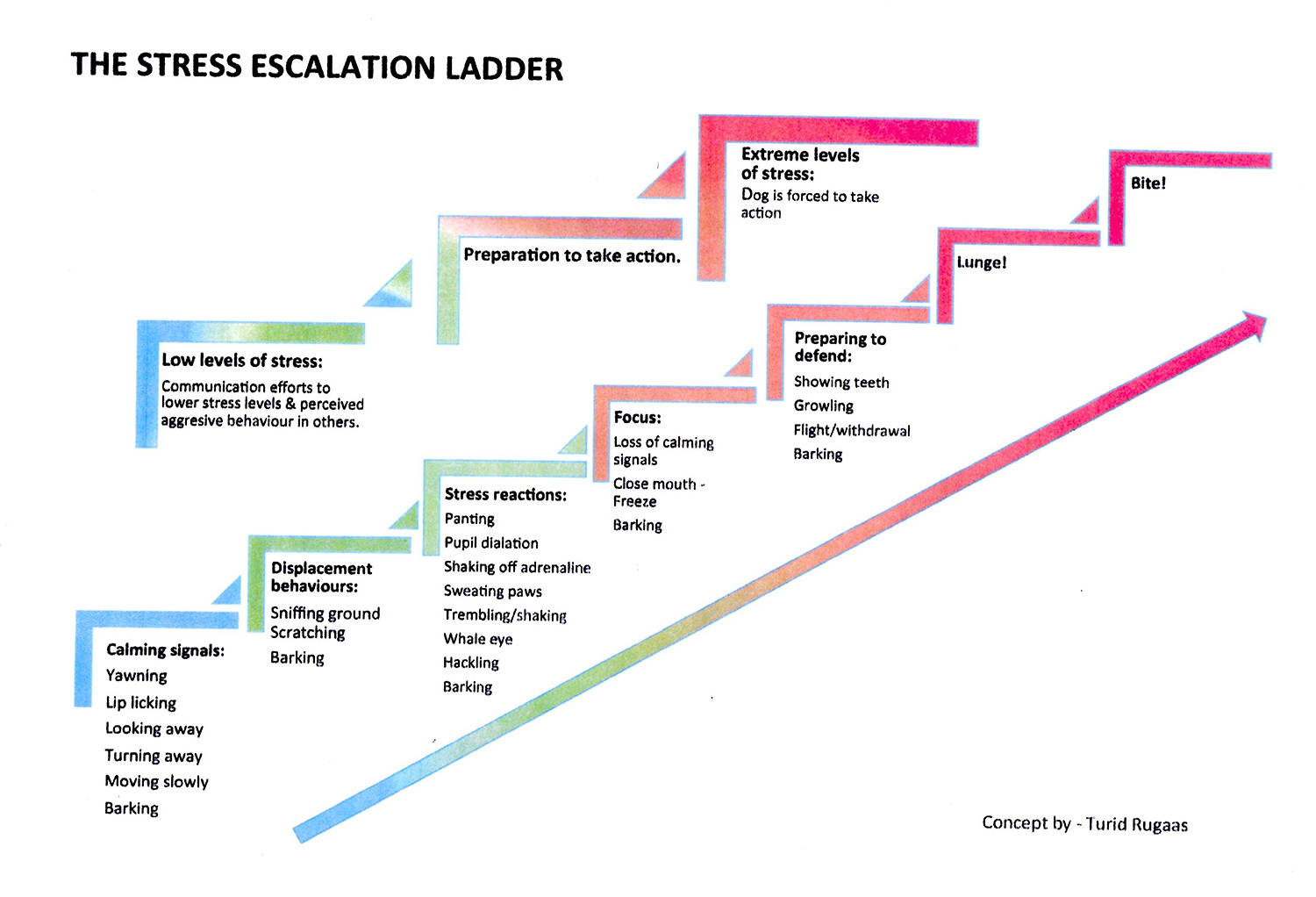 카밍 시그널(Calming Signals)과 투리드 루가스(Turid Rugaas) : 네이버 블로그