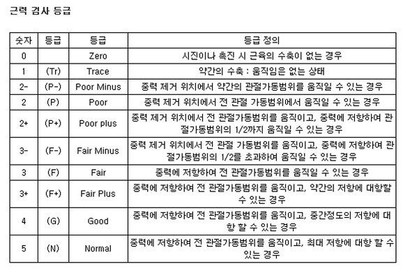 [진단] 도수 근력 검사(MMT, Manual Muscle Test Grading) : 네이버 블로그