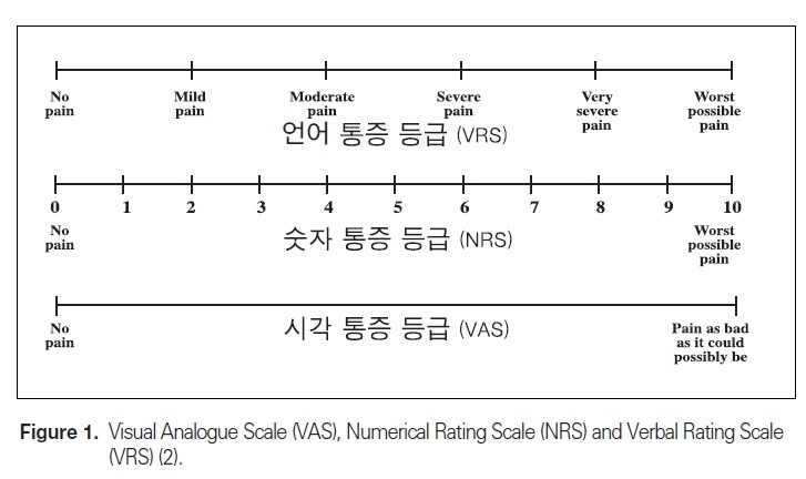 열정♡임상 - 통증 평가도구 [FLACC] [FPRS] [PQRST] [VRS][NRS][VAS] : 네이버 블로그