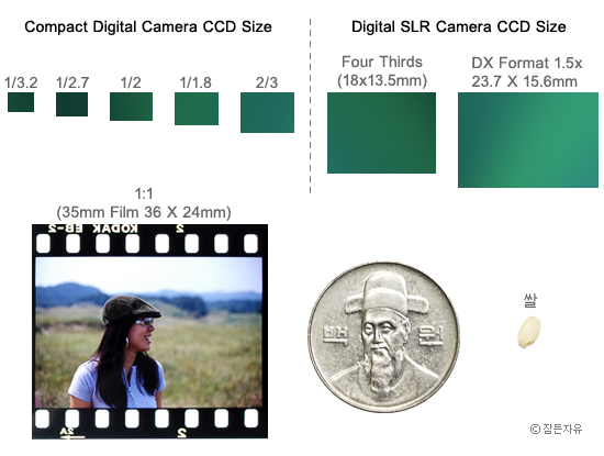 똑딱이와 DSLR (펌) | 네이트 판